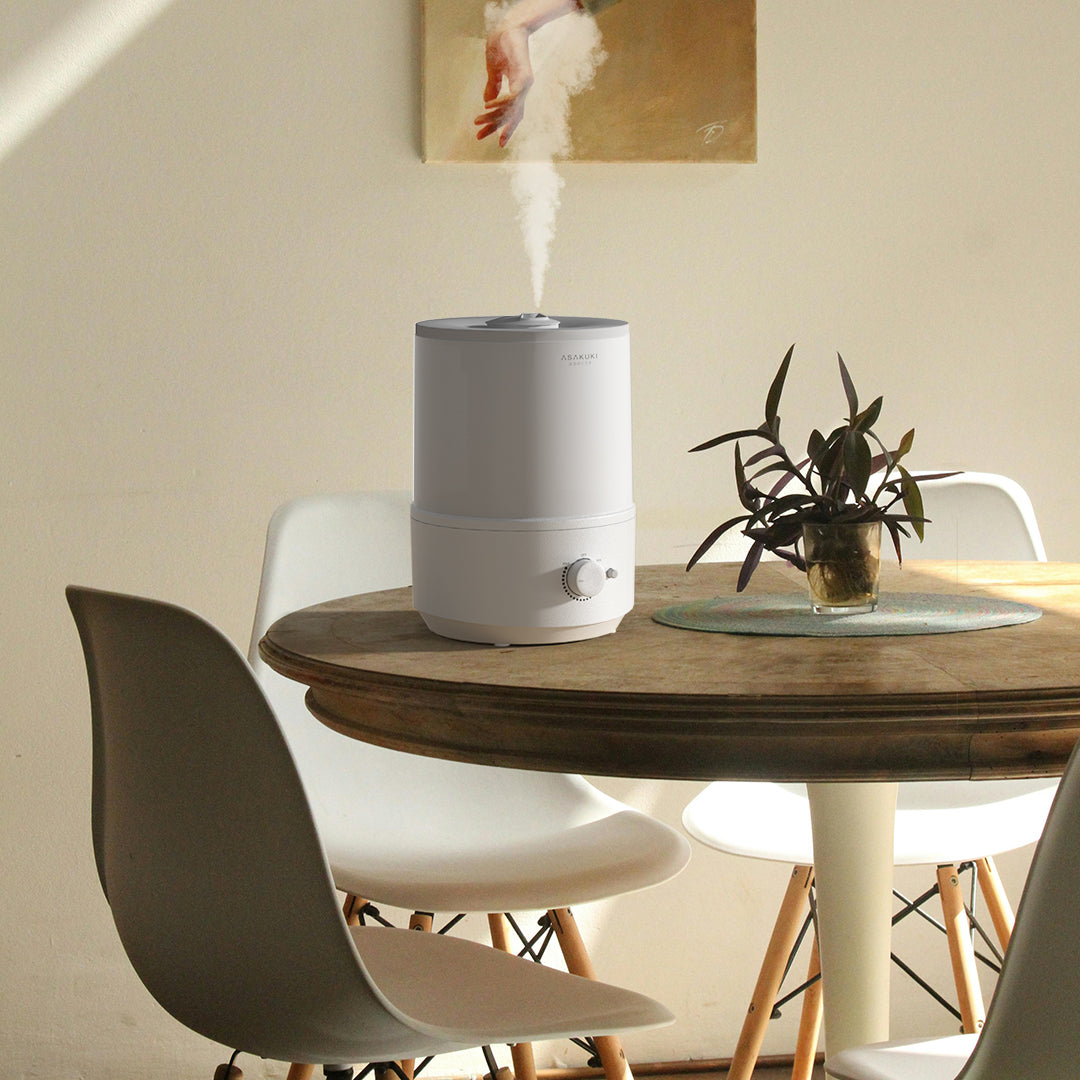 Humidifier: The Secret Weapon for Enhancing Home Comfort – Asakuki